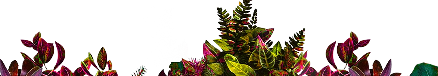 GenX RAVENOUS 2024 – Thank You - GenX Carnival