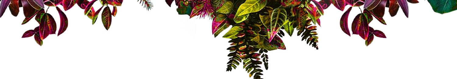 GenX RAVENOUS 2024 – Thank You - GenX Carnival